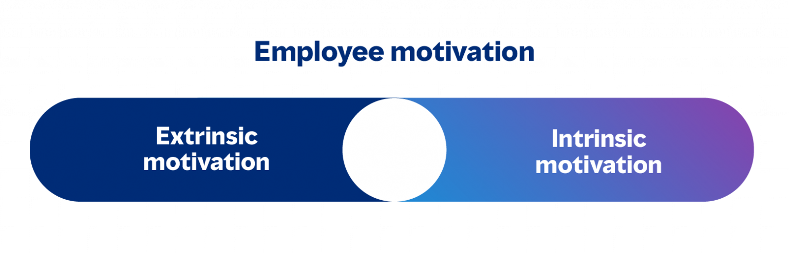The absolute guide to understanding employee motivation