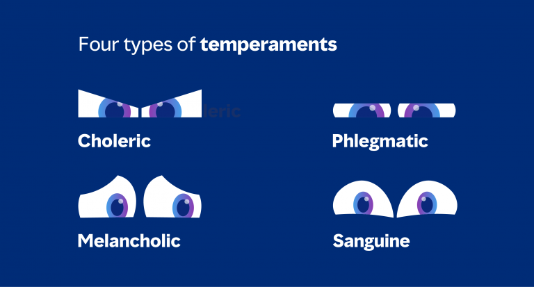 Exploring the ABCD of personality types