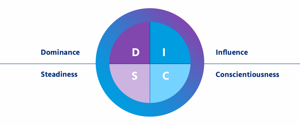 Understanding the rarest DISC personality type