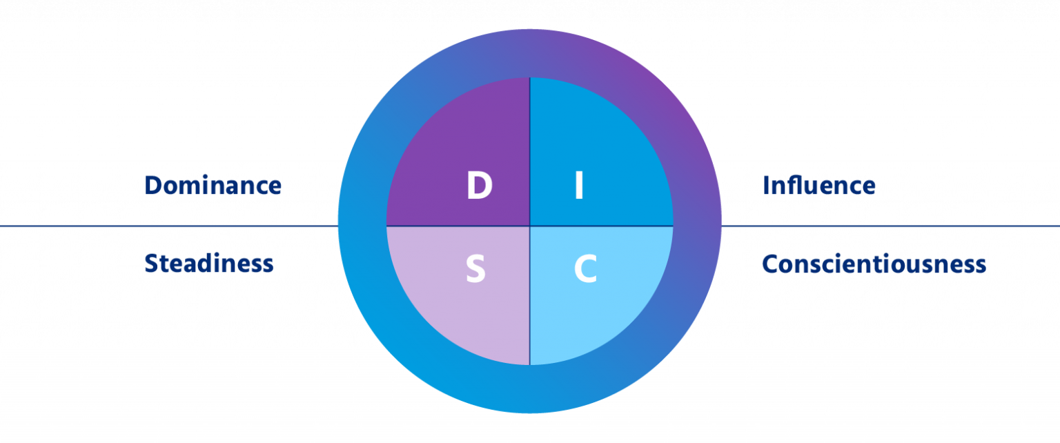 Understanding the rarest DISC personality type